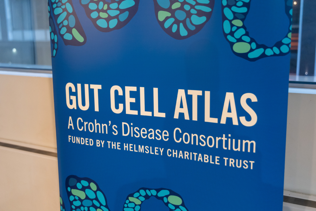 Insights from the Gut Cell Atlas Convening 2024 - Helmsley Charitable Trust